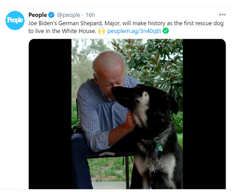 110. DOTUS – Donnatopia